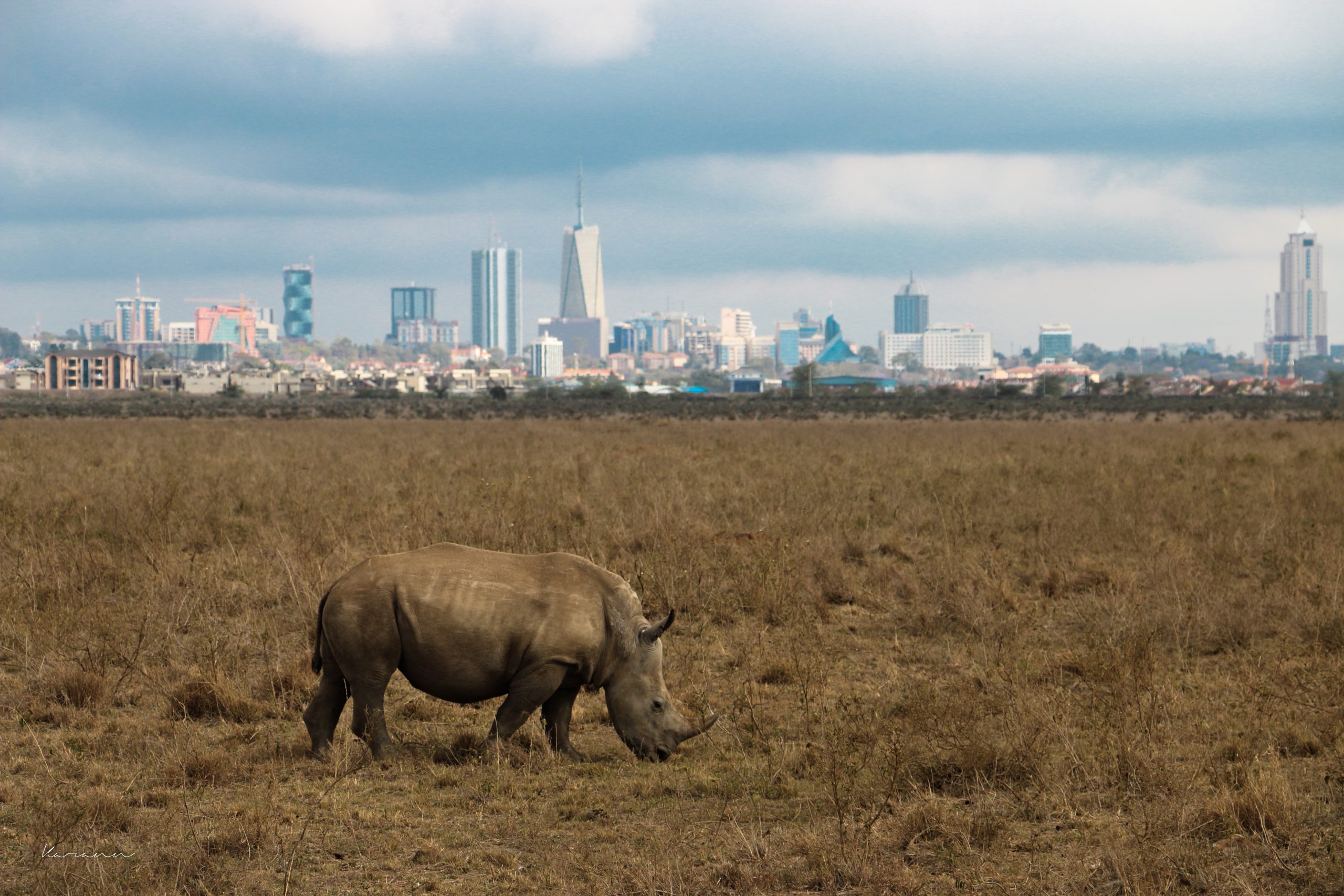 2024 ICN ADVOCACY WORKSHOP – 2024 ICN ADVOCACY WORKSHOP